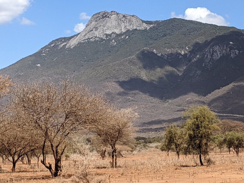 Discover Mount Longido Day Hike